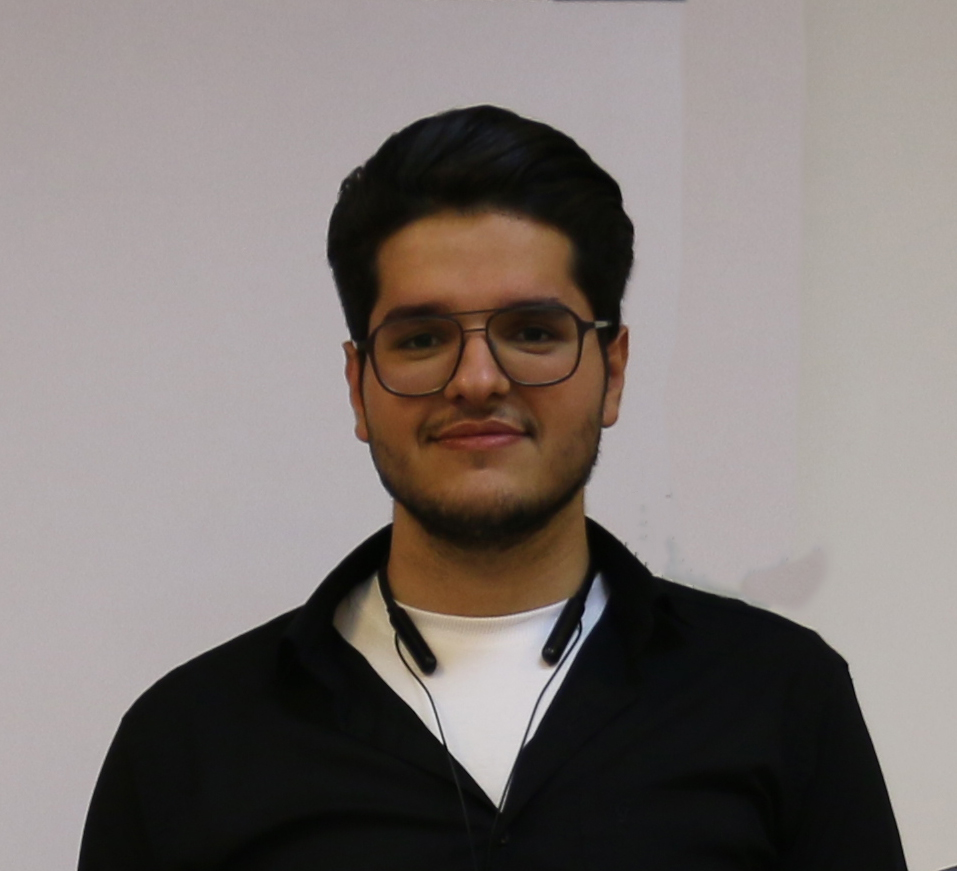 مدرسان آکادمی توسعه دهندگان ذهن | سید احمد هاشمی